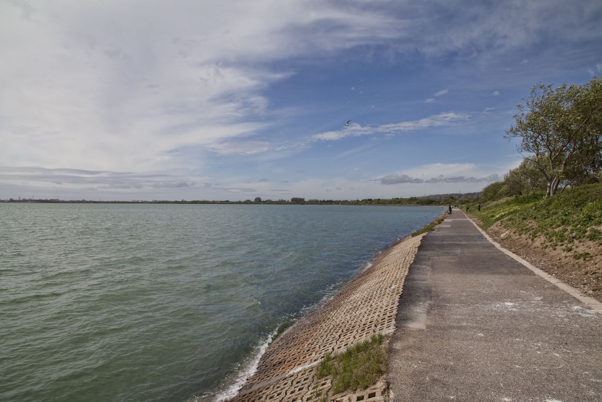 Broadmarsh Coastal Park | neOnbubble