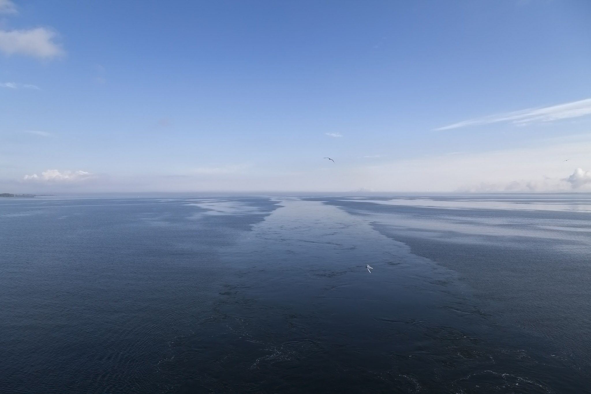 A Day In Tallinn, Estonia | neOnbubble