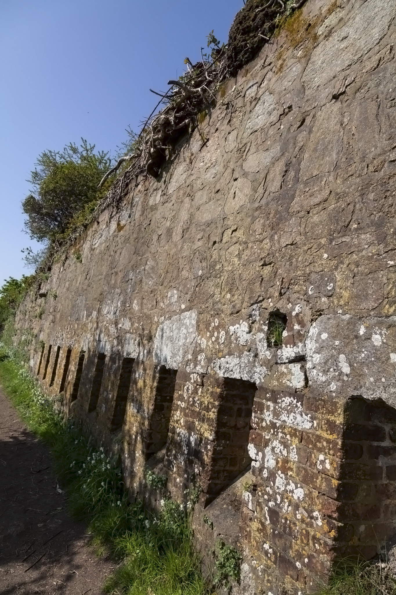 The Bluebell Woods And Ozanne Steps On Guernsey | neOnbubble
