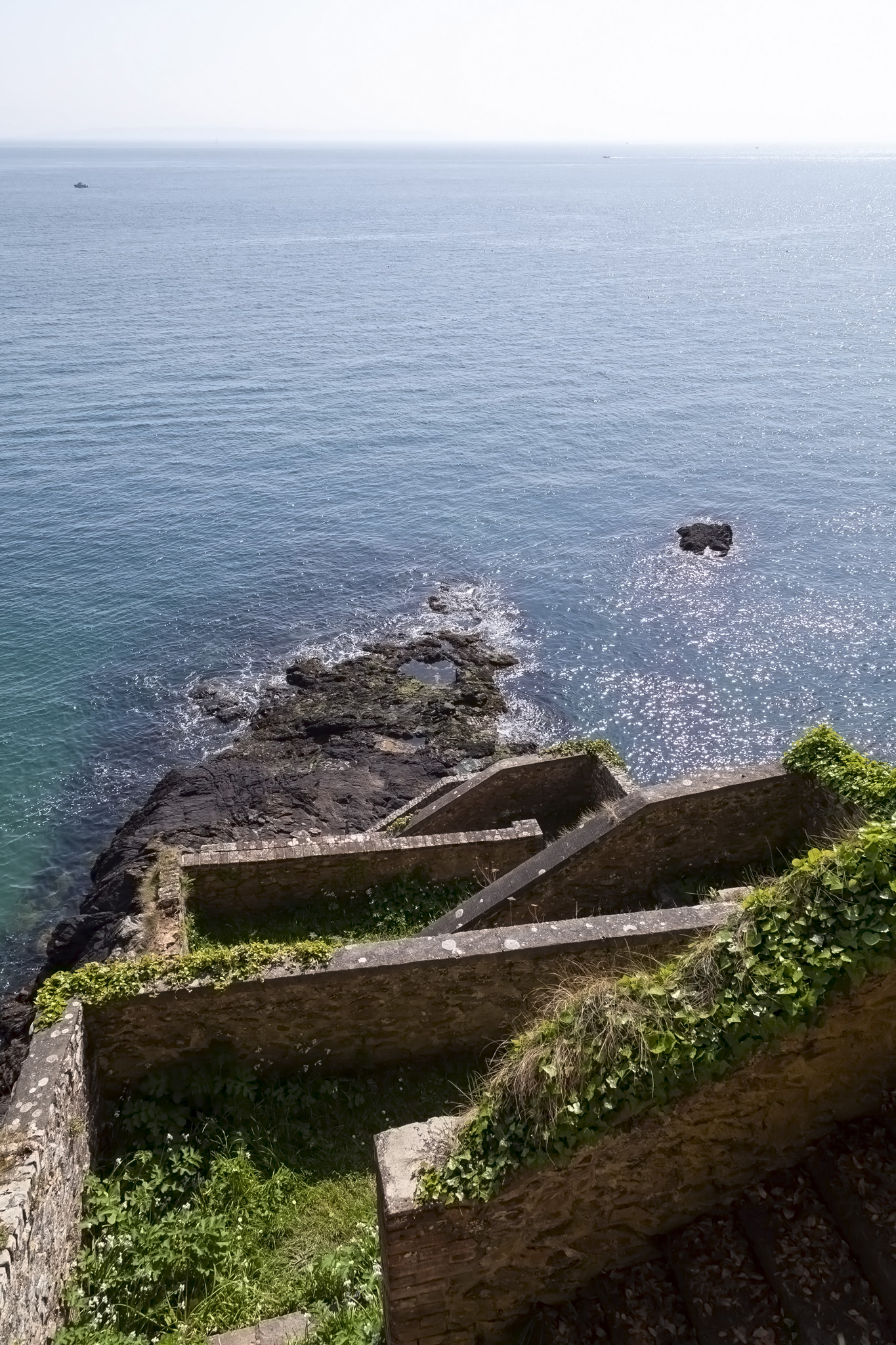 The Bluebell Woods And Ozanne Steps On Guernsey | neOnbubble