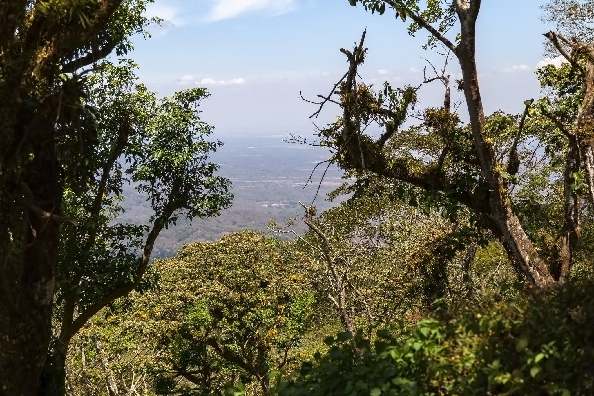 Mombacho Volcano Hiking Excursion, Nicaragua | neOnbubble