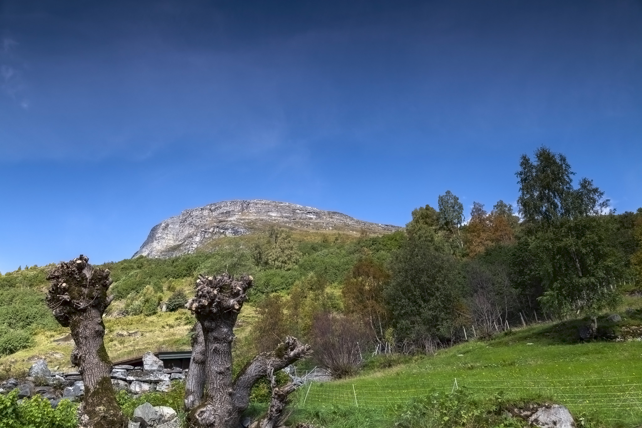 Geiranger Hiking Excursion, Norwegian Fjords | neOnbubble