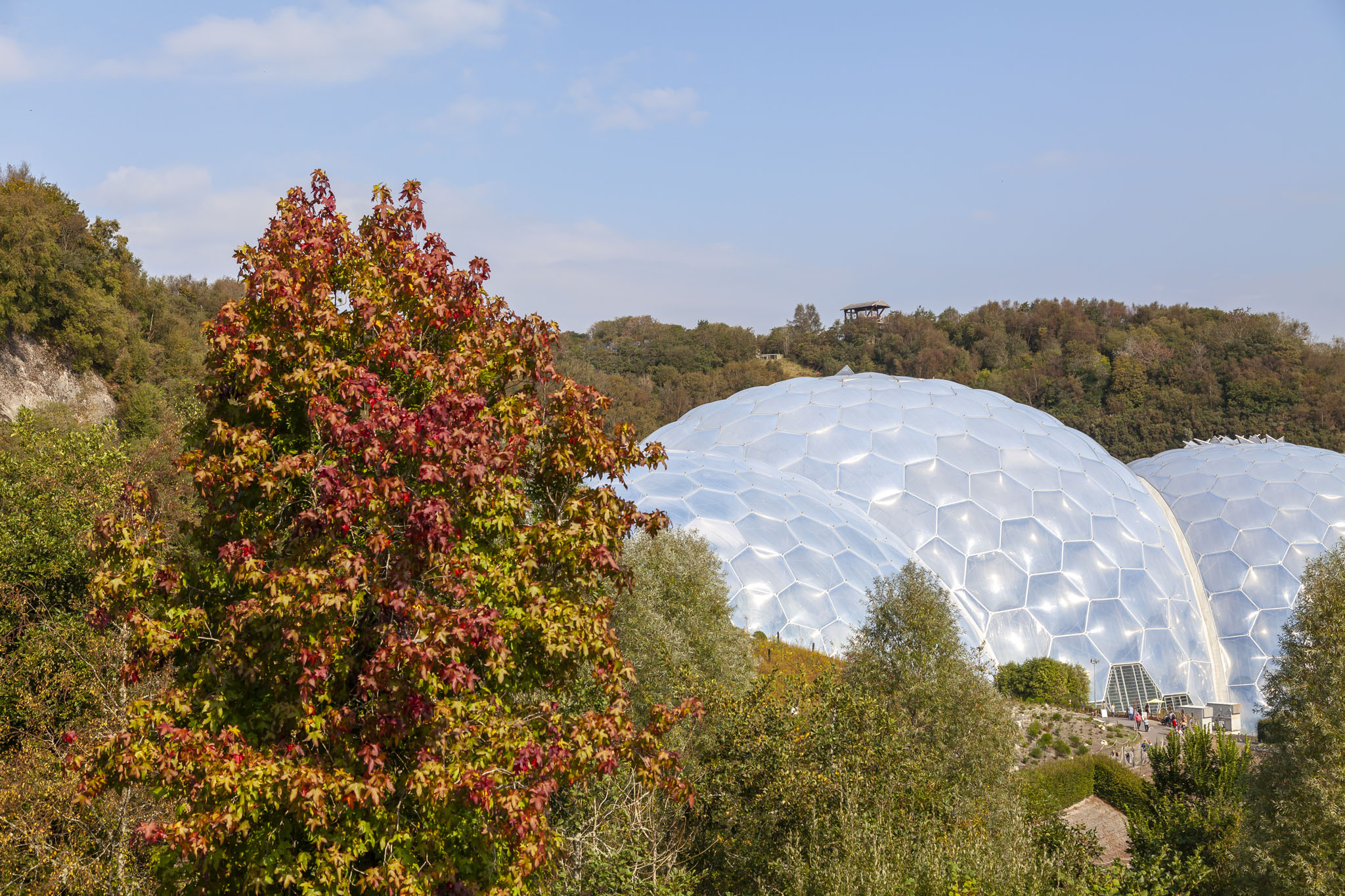 Eden Project Biomes And Art Sculptures | neOnbubble