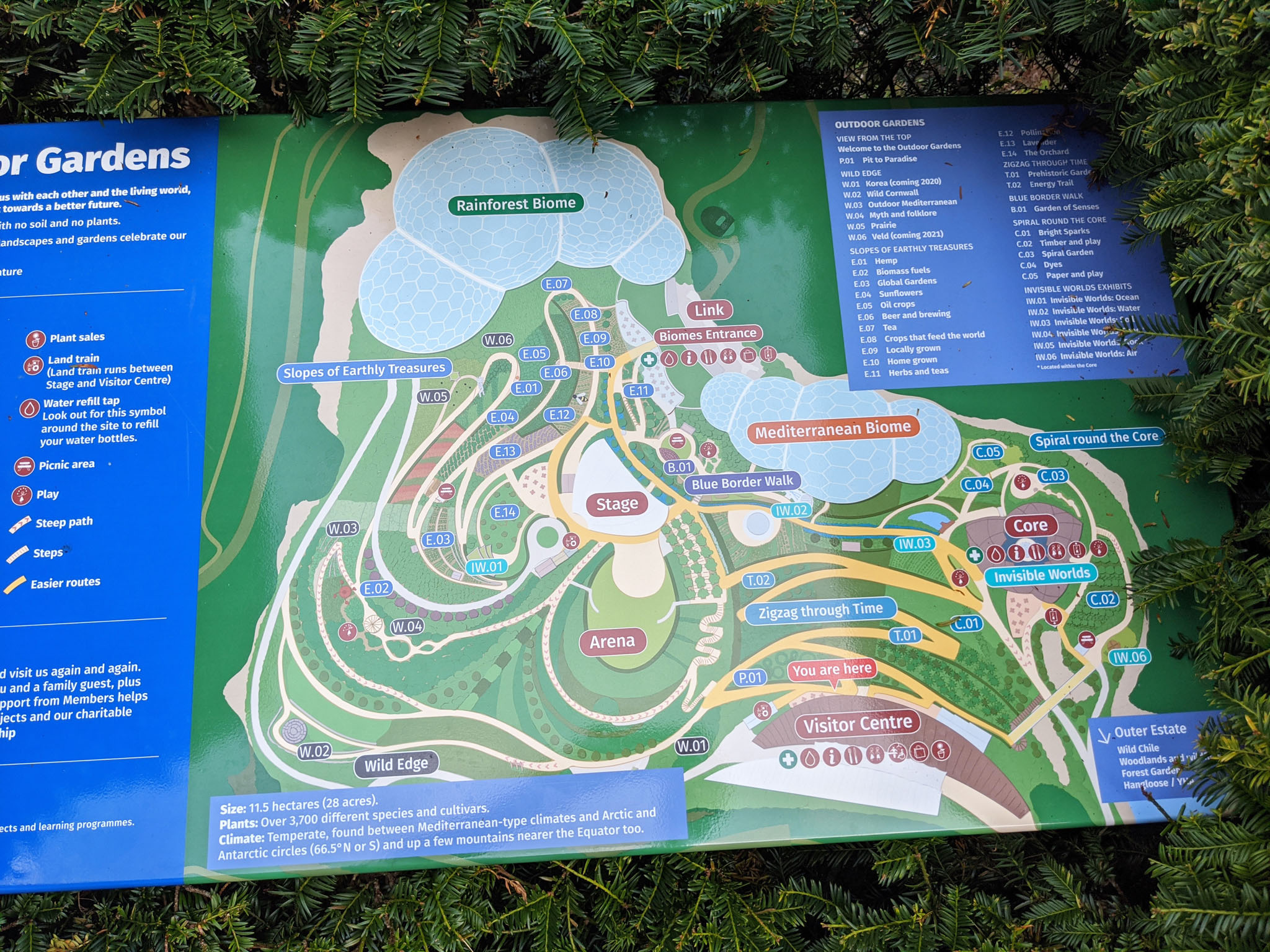 Eden Project Biomes And Art Sculptures | neOnbubble