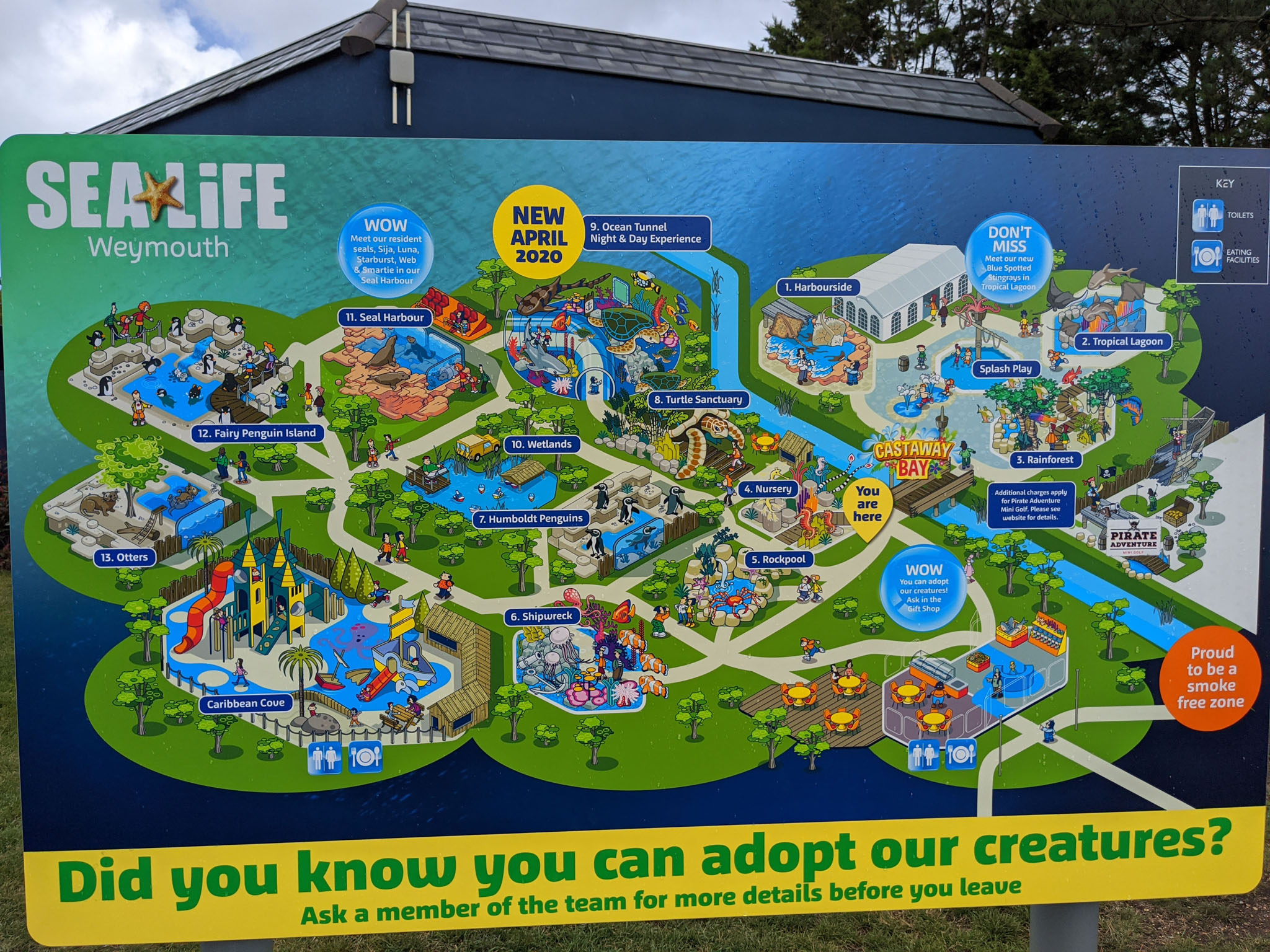 Weymouth Sea Life Centre, SandWorld, Museum | neOnbubble