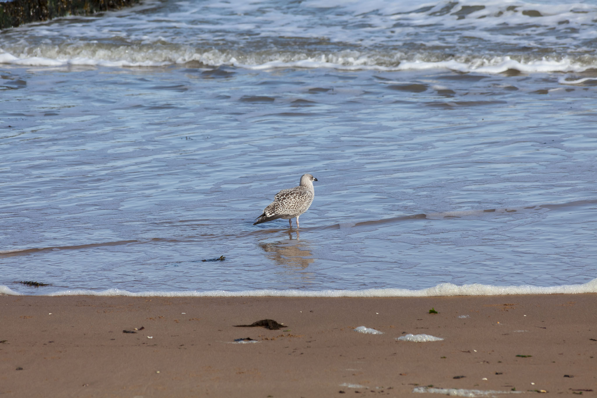 Margate Seafront And The Shell Grotto | neOnbubble