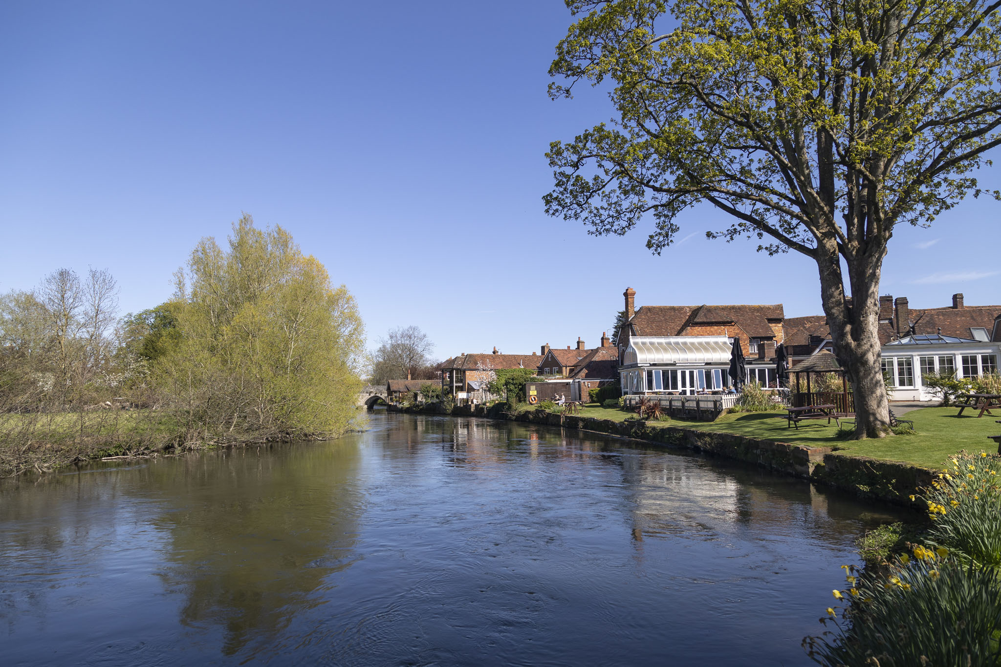 Rose And Crown Hotel, Salisbury | neOnbubble