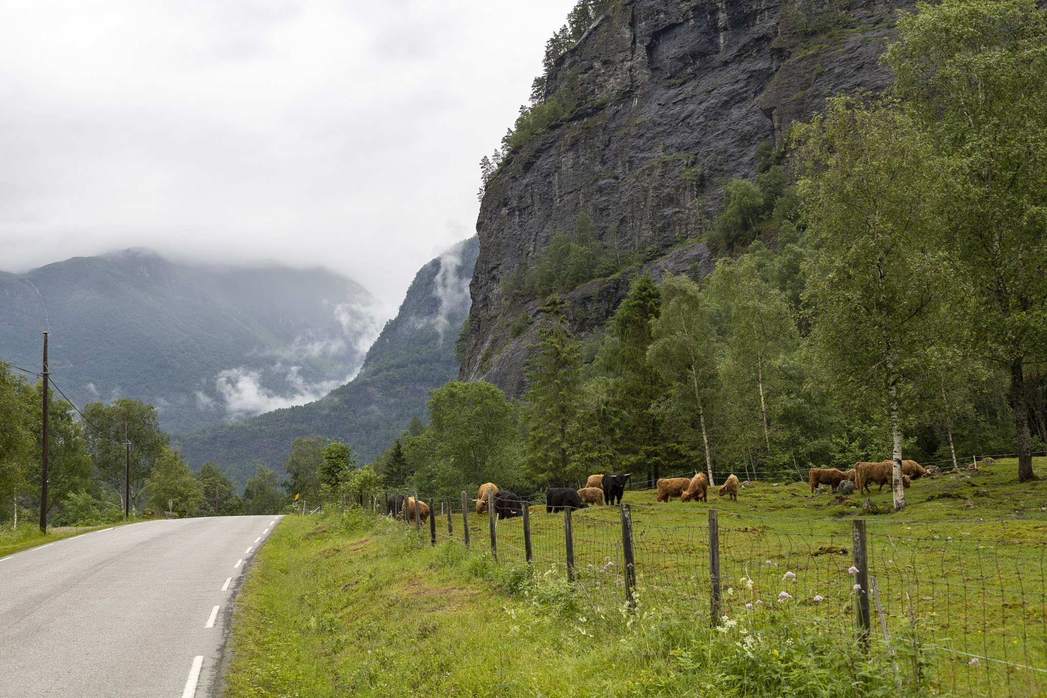 Sognefjellet Road And Åsafossen Waterfall, Norway | neOnbubble