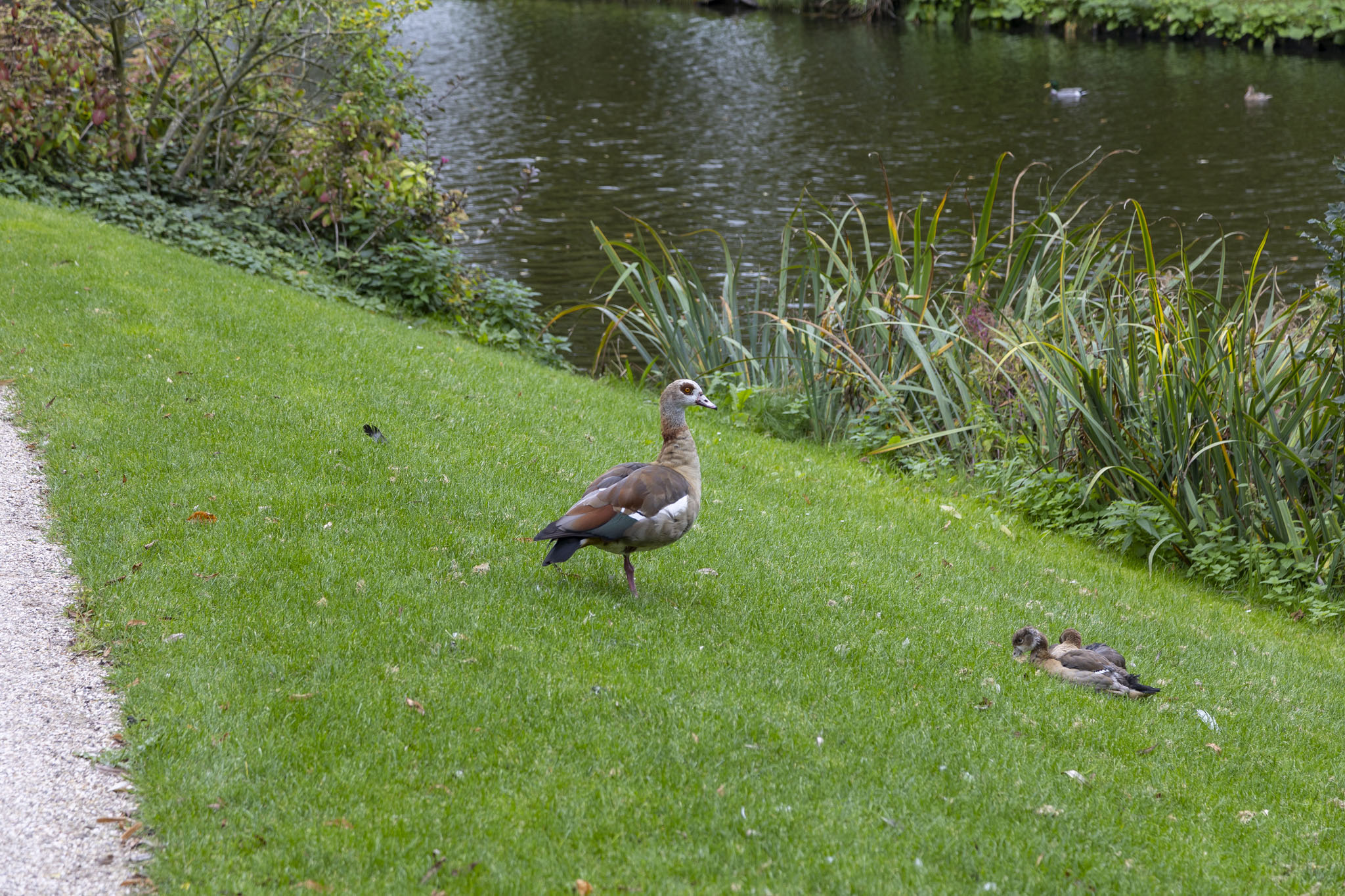 Het Park, Rotterdam, Netherlands | neOnbubble