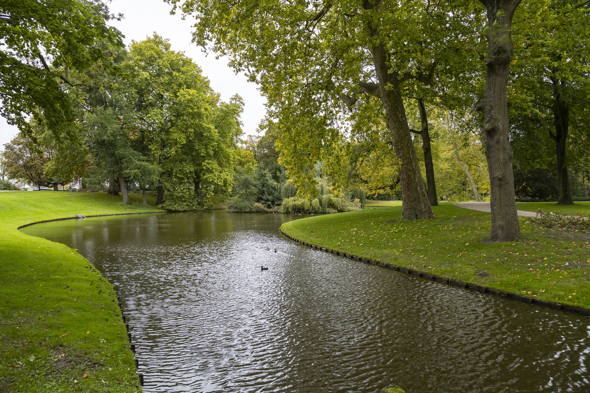 Het Park, Rotterdam, Netherlands | neOnbubble